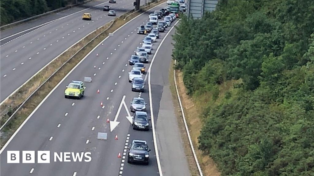 Dead chickens cause M5 motorway tailback near Exeter - BBC News
