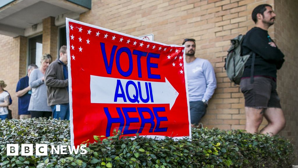 US mid-term elections: What is at stake? - BBC News