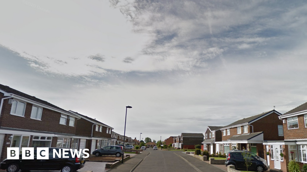Wallsend dog attack victim in stable condition - BBC News