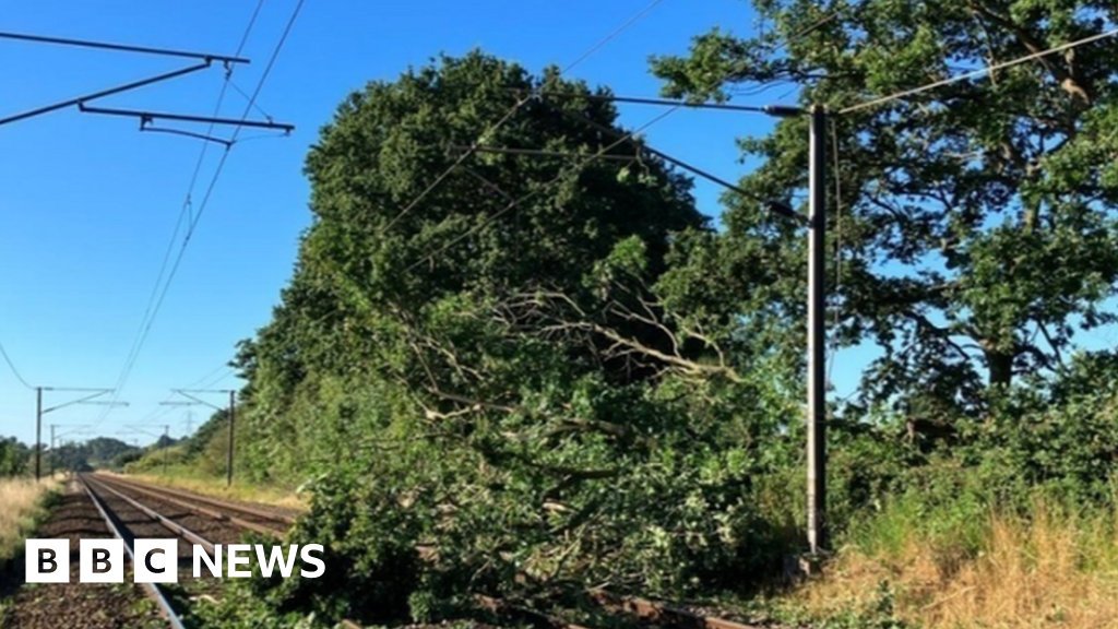 Greater Anglia train hits tree on main London to Norwich line - BBC News