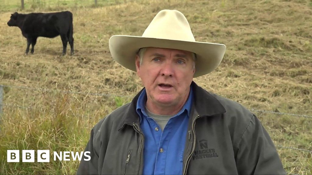 'We don't have enough beef to flood the UK market' - BBC News