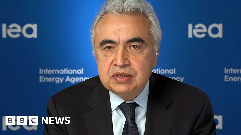 Serious rationing of energy possible this winter, warns IEA chief - BBC ...