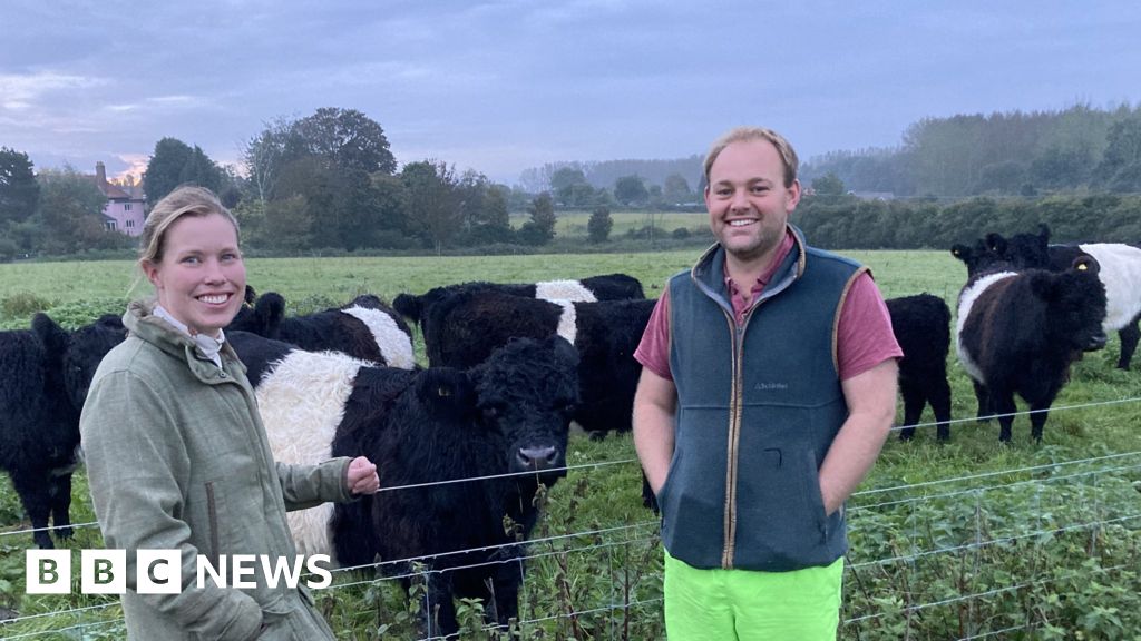Cows rescued from Framlingham floods 'recovered nicely', says farmer ...