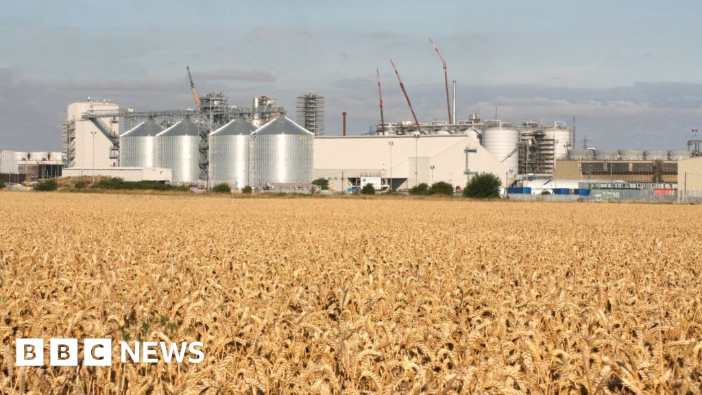 Wilton Ensus bioethanol plant production trial to start - BBC News