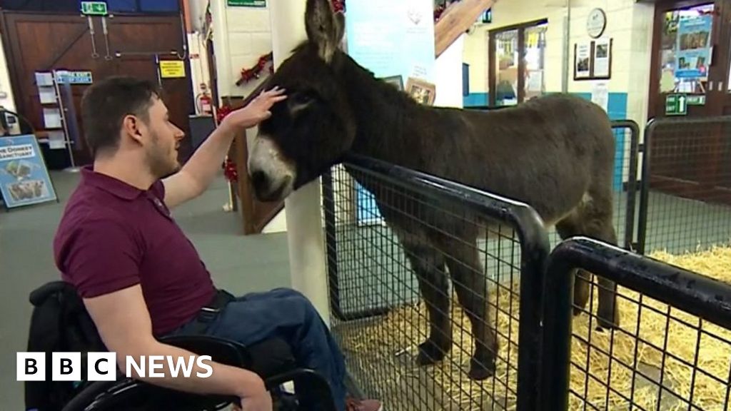 Donkey therapy: Man turns volunteer to thank sanctuary - BBC News