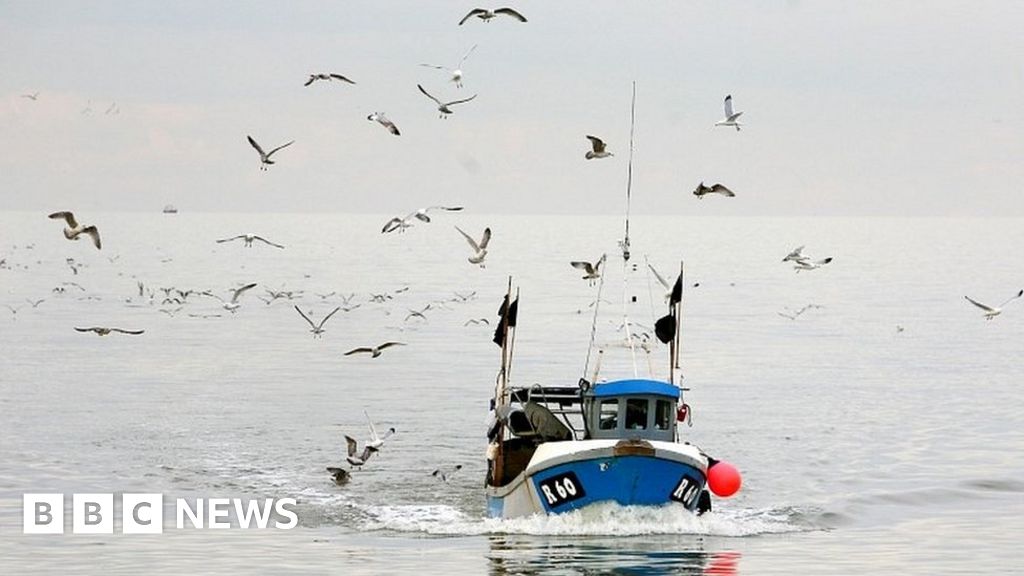 Brexit: EU 'tightens transition guidelines' on immigration, trade and ...