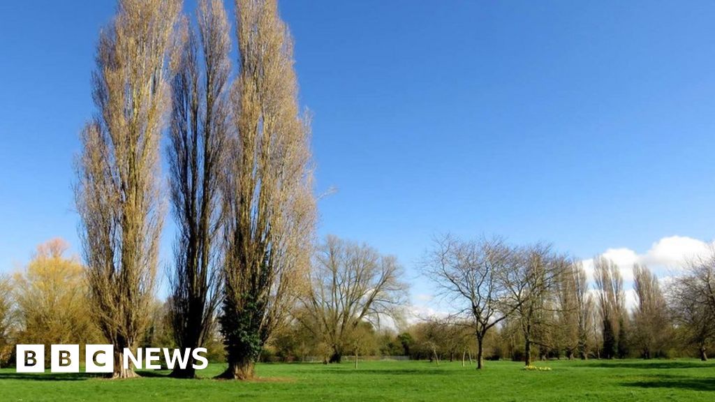 Goose killer given 18-week suspended sentence and animal keeping ban ...