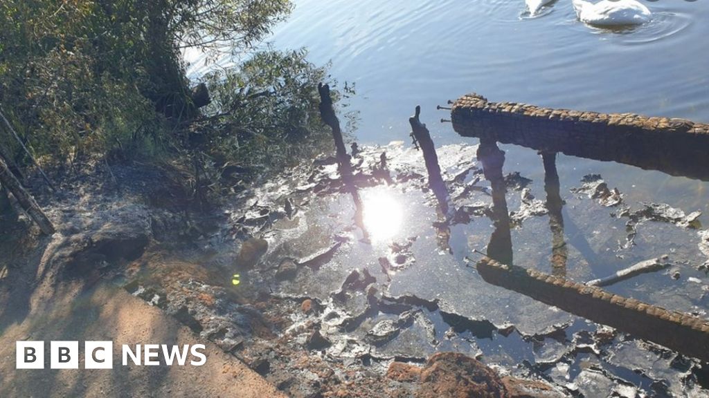 Rainton nature reserve pond feature destroyed in arson