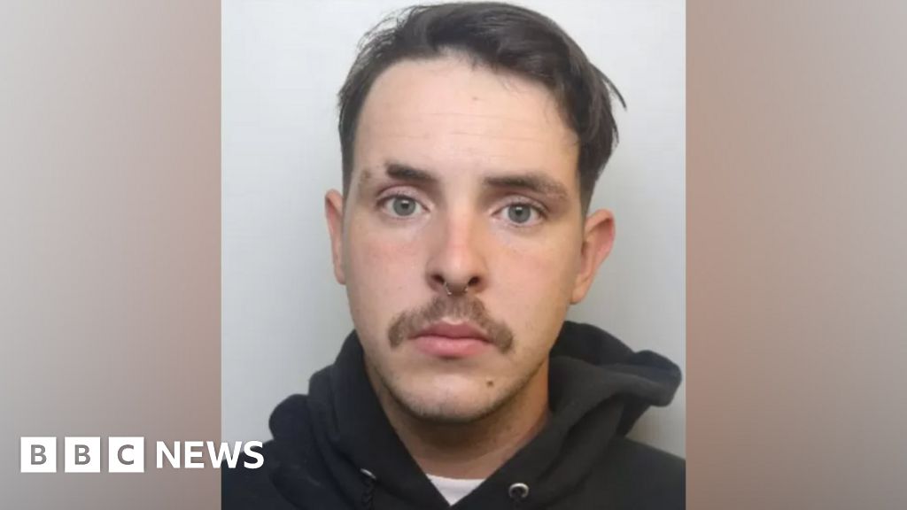 Bristol riots: Man who threw bottle at police horse jailed