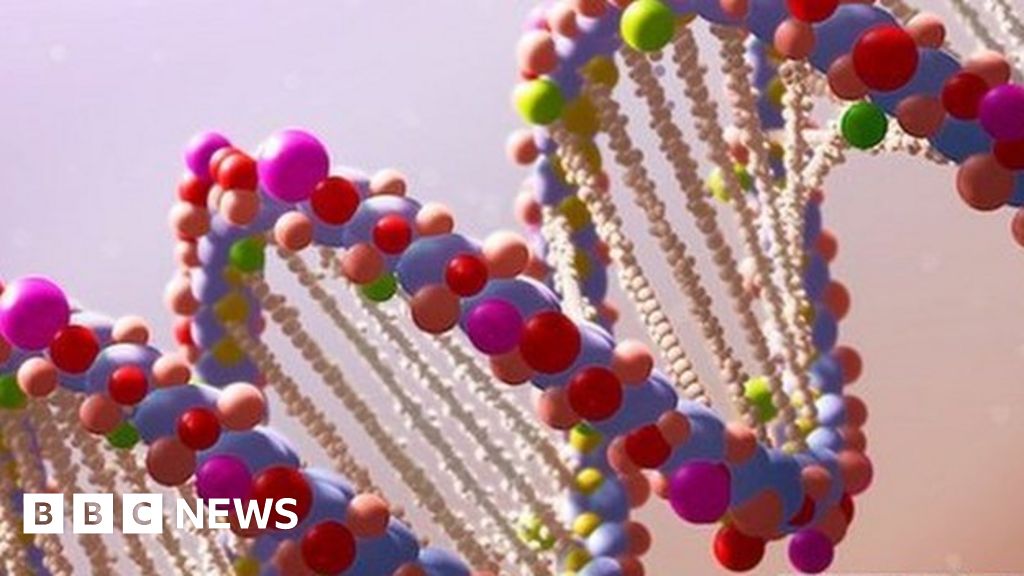 World's longest DNA sequence decoded - BBC News