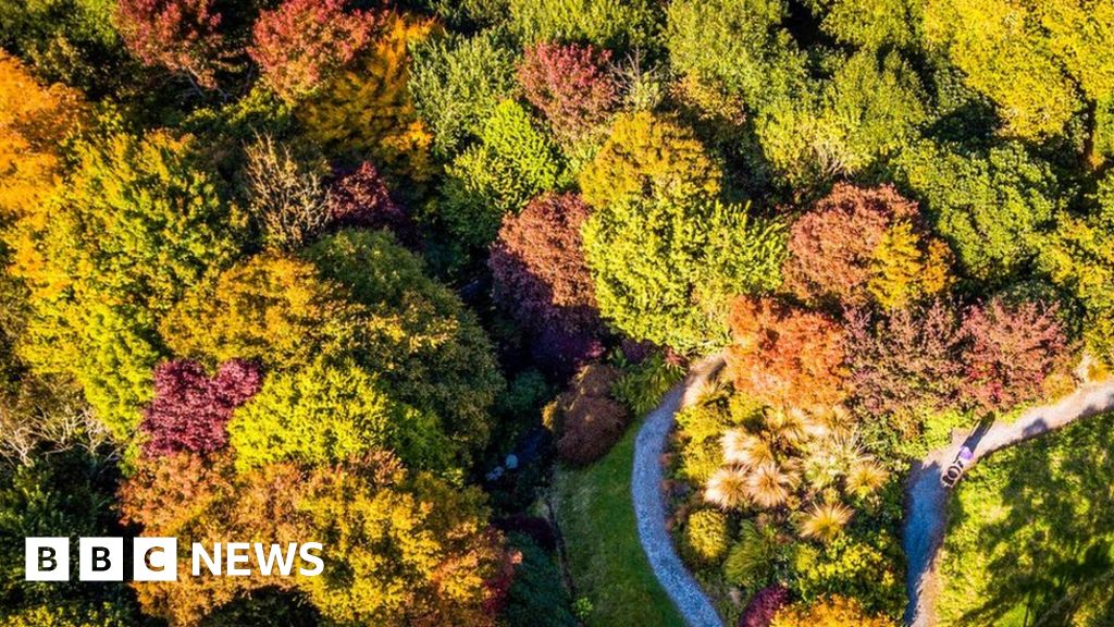 In pictures: Autumnal colours across the UK - BBC News