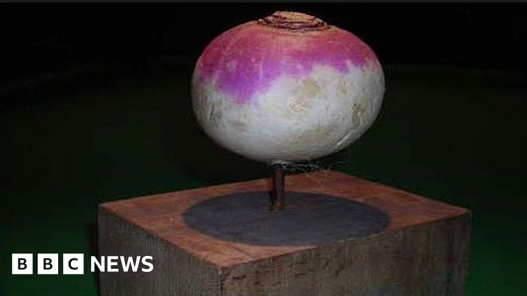 The Turnip Prize: 'Dismal And' wins spoof art accolade - BBC News