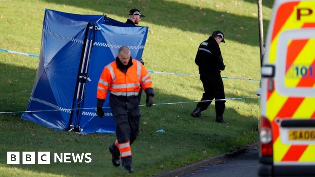 Family left 'broken' by pedestrian death - BBC News