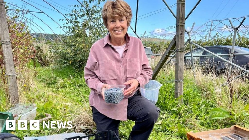 Gleaning - Picking leftover crops for the food bank - BBC News