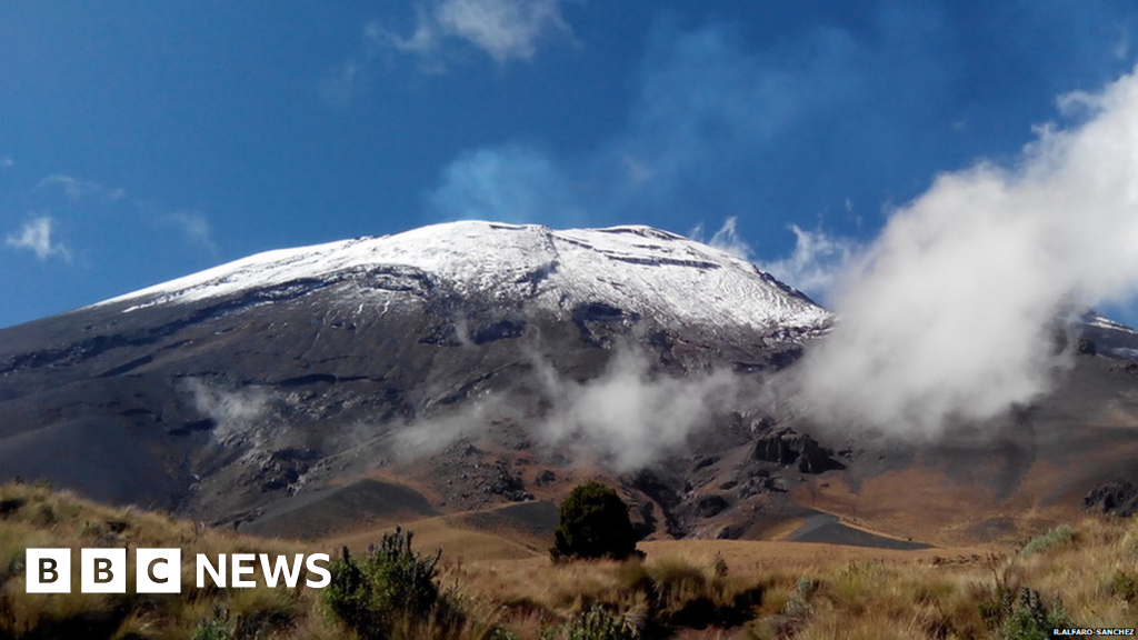 Volcanic time-bomb threatens nearby trees - BBC News