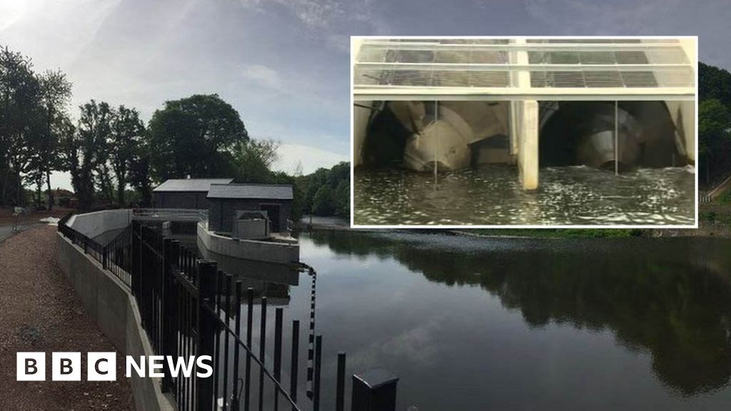 Radyr Weir River Taff turbine swimmers 'condemned' - BBC News