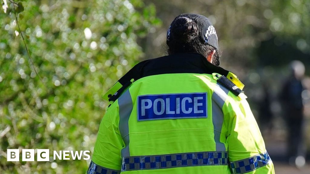 Man, 18, charged after video of dog being beaten posted online - BBC News