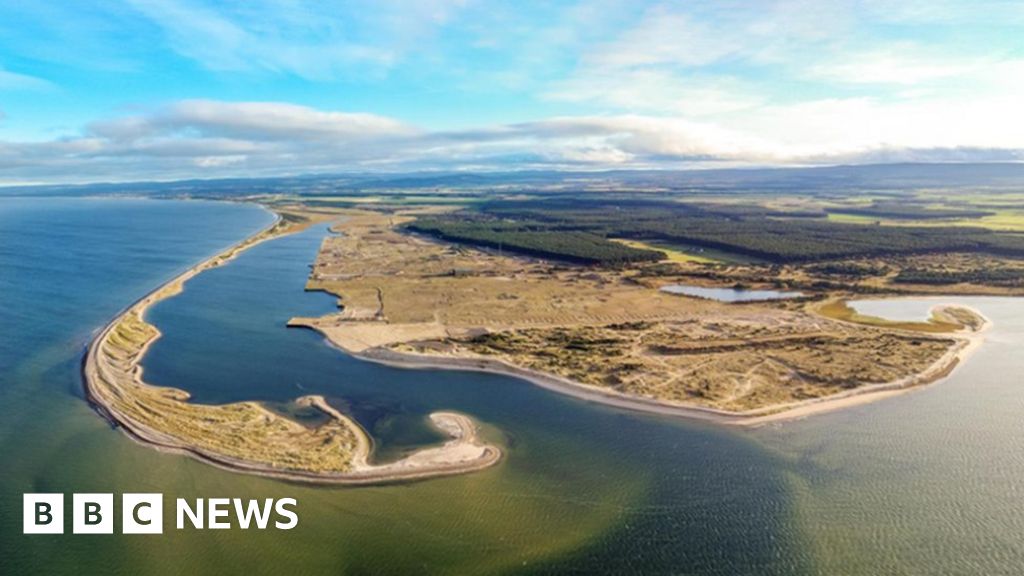 Ardersier Port owners join green freeport group - BBC News