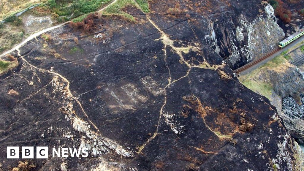 Hidden WW2 Éire sign revealed after gorse fire - BBC News