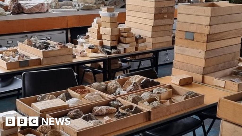 Enormous fossil collection donated to University of Portsmouth - BBC News
