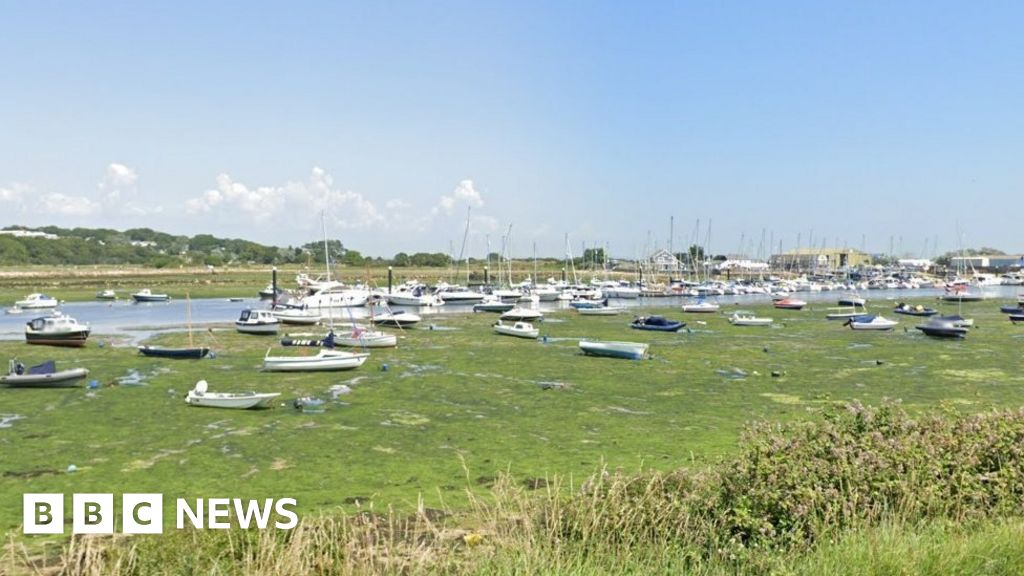 Bembridge coast defence repairs needed to protect nature reserve - BBC News