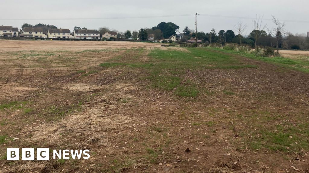 Hinkley Point C: More than 150 new homes planned - BBC News