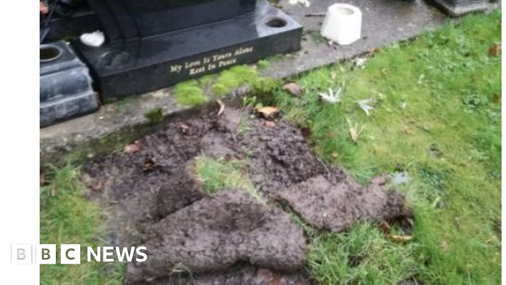 Family 'devastated by badger attack' on father's grave