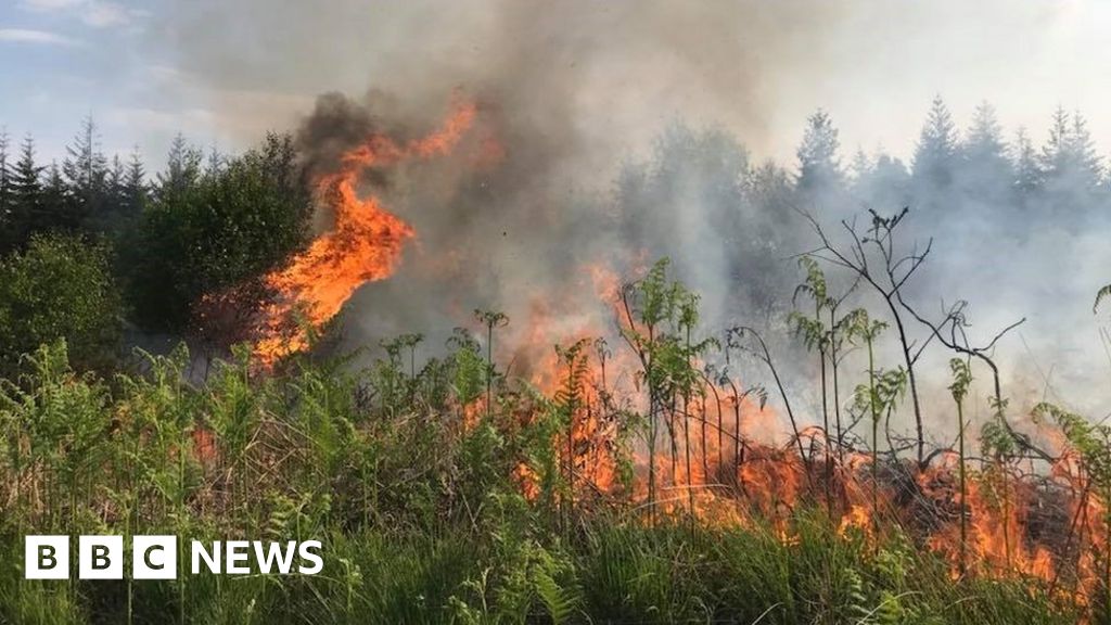 First fire alert of the year issued in Dorset