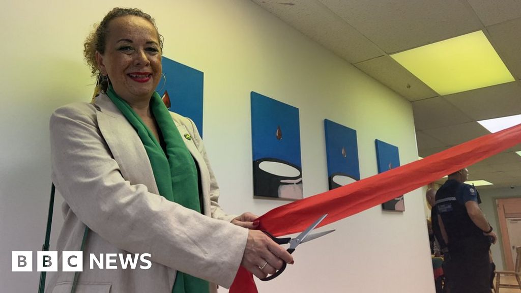 New Colchester gallery celebrates 75th Windrush anniversary - BBC News