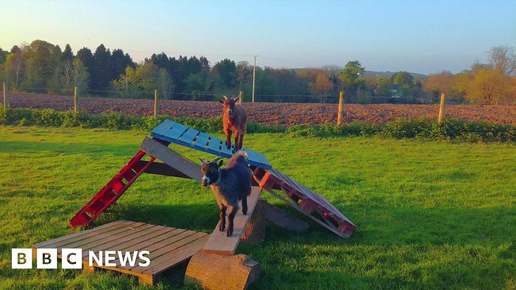 BBC News NI pictures of the week - BBC News