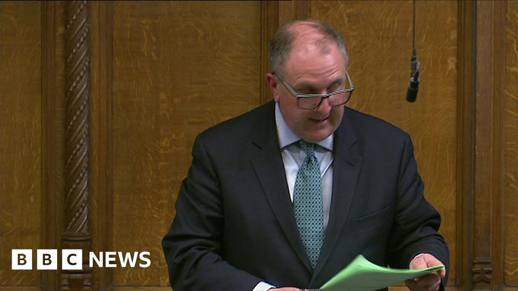 Immigration makes enormous contribution to UK, says Tory MP - BBC News