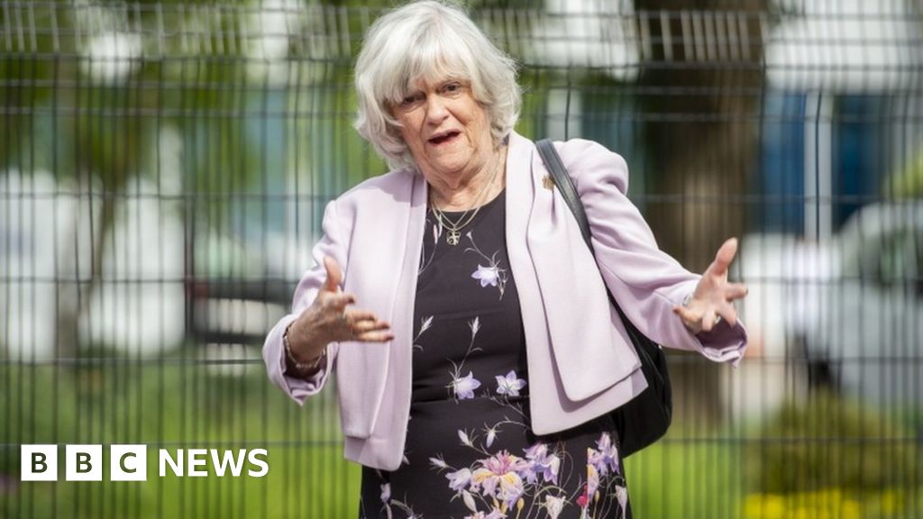 Ann Widdecombe defends gay science views as shows axed - BBC News