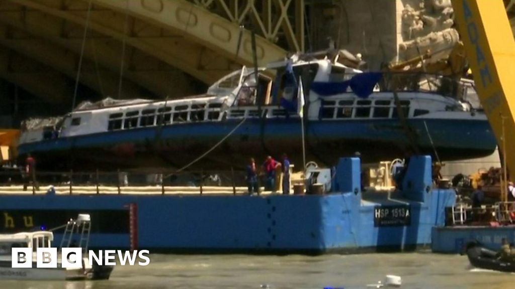 Timelapse video captures operation to raise boat from Danube - BBC News