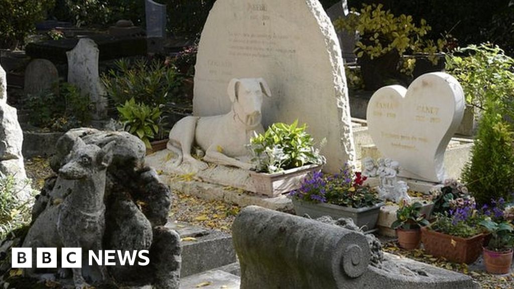 Pet cemetery plan aims to boost Calderdale Council funds - BBC News