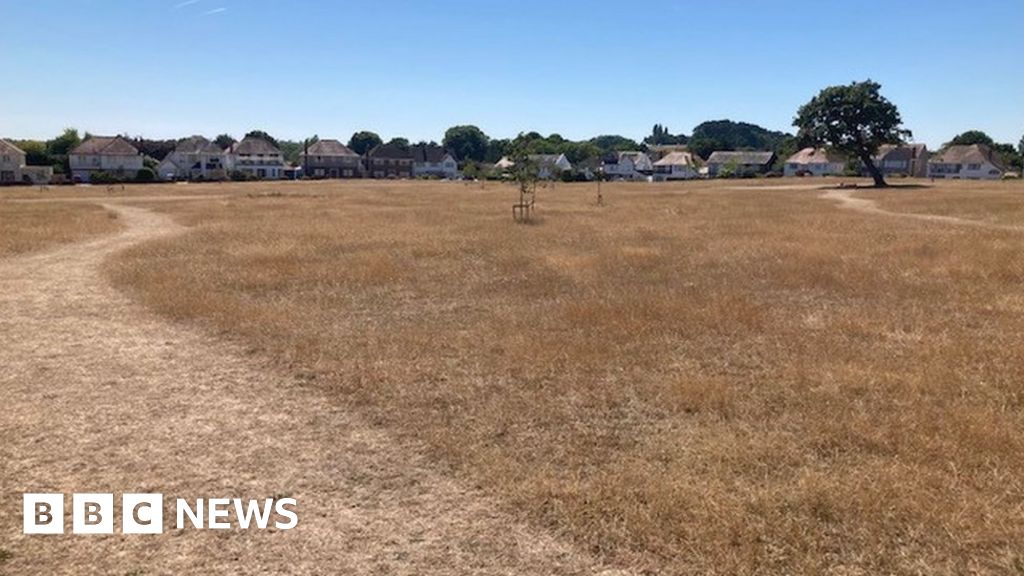 Climate change: Wales' wet, green landscape at risk - expert