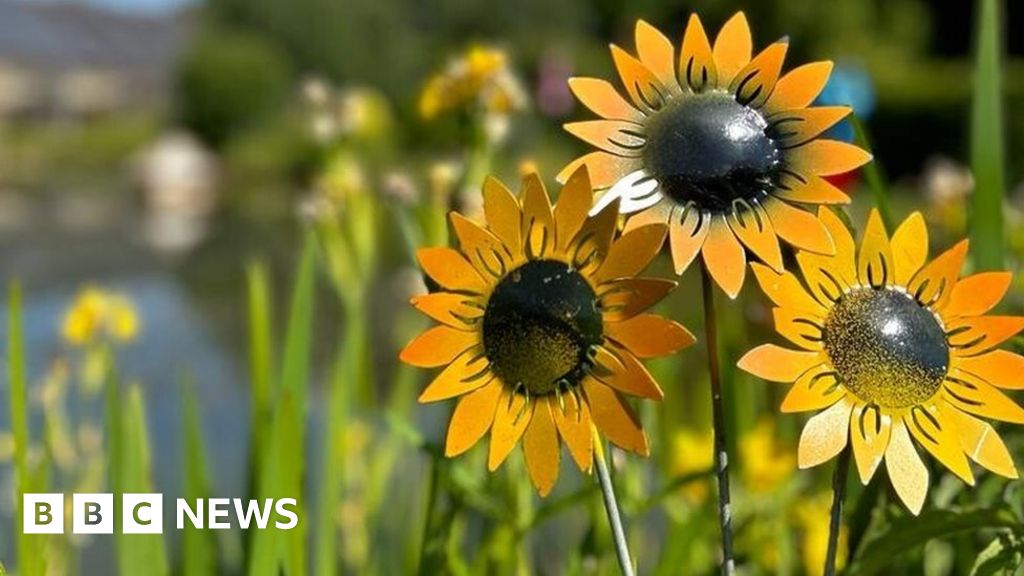 Worcester: Pop-up memorial garden to get 900 metal sunflowers - BBC News