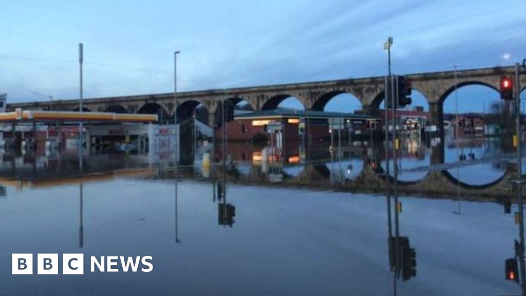 Leeds flood defence scheme mass tree planting proposal - BBC News