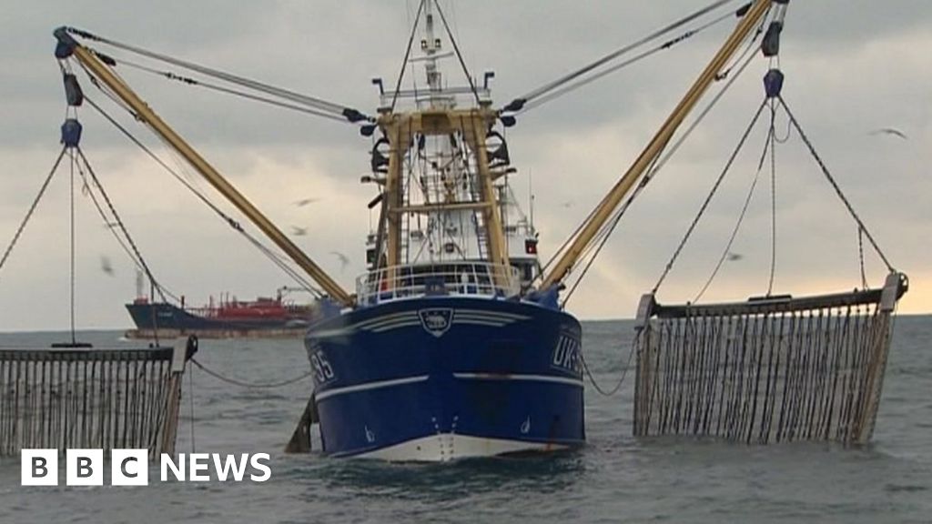 Pulse fishing ban off East Anglian coast extended - BBC News