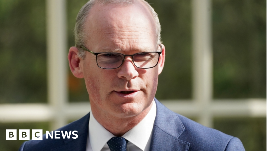 Irish Foreign Minister Simon Coveney criticises Irish border visa ...