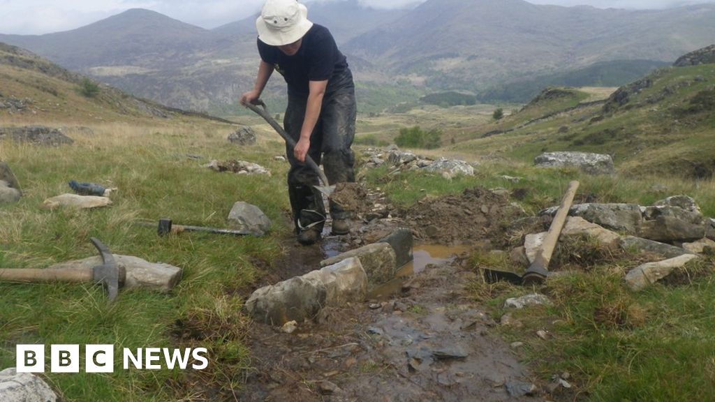 Path damage 'risks Snowdonia wildlife being lost' - BBC News
