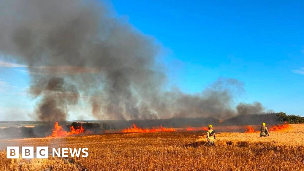 Dorset spring barley field set ablaze by farm machinery
