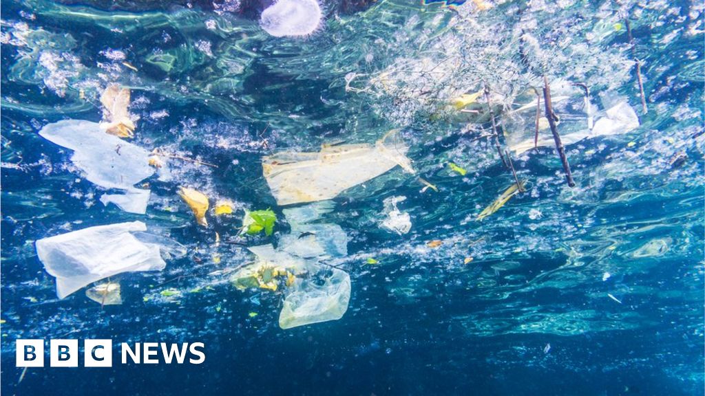 Plastic-free Devon school praised by education secretary - BBC News