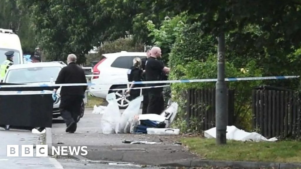 Man dies after attack by 'American bully XL dogs' in Staffordshire