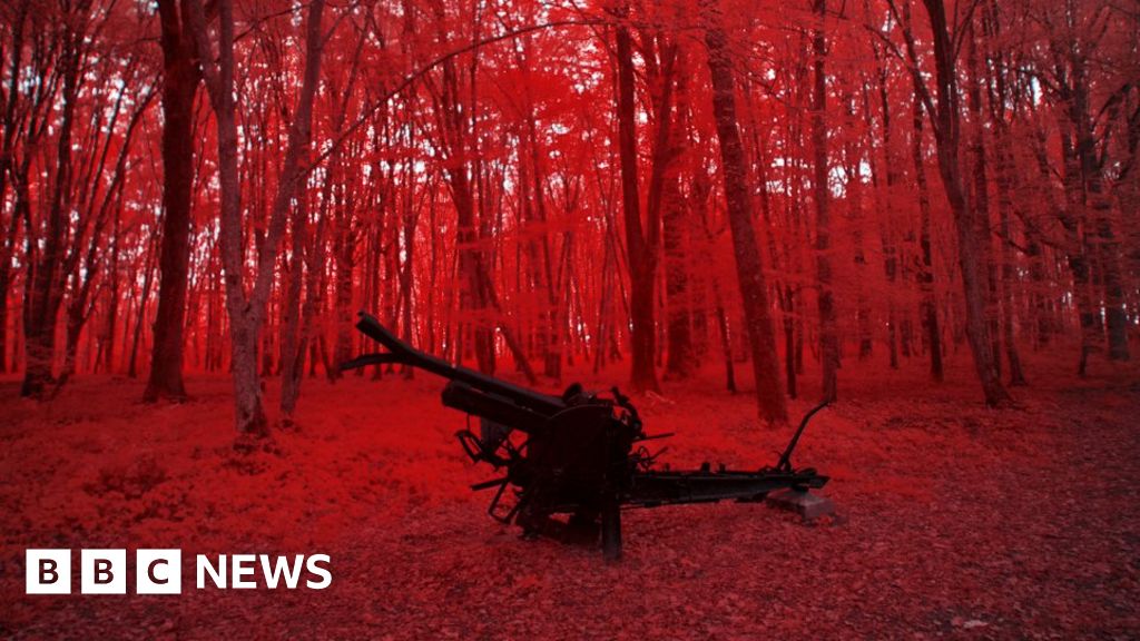 Foreign fields in a new light - BBC News