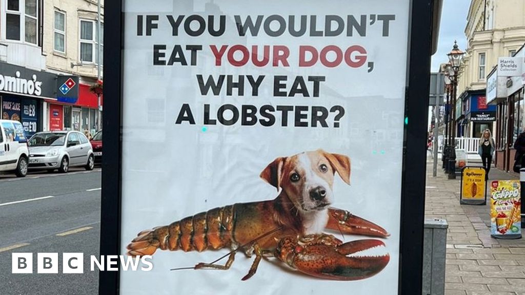 Charity criticised over Bridlington posters comparing dogs and lobsters ...