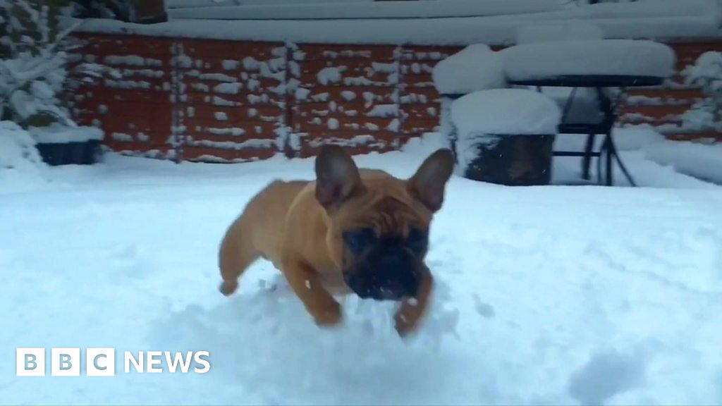 UK weather: Snow causes disruption across the UK - BBC News