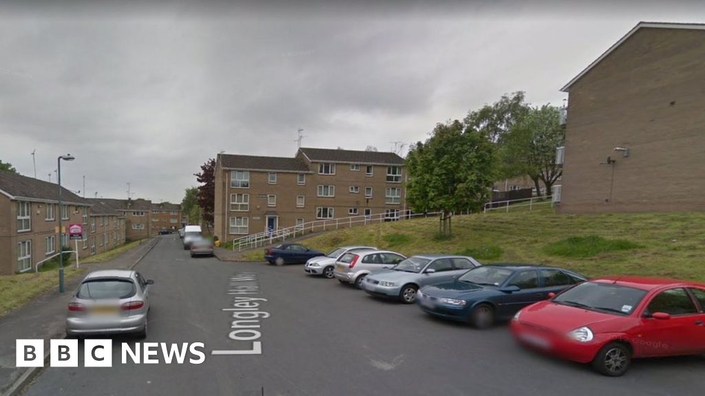 Murder arrests after Sheffield street fight - BBC News