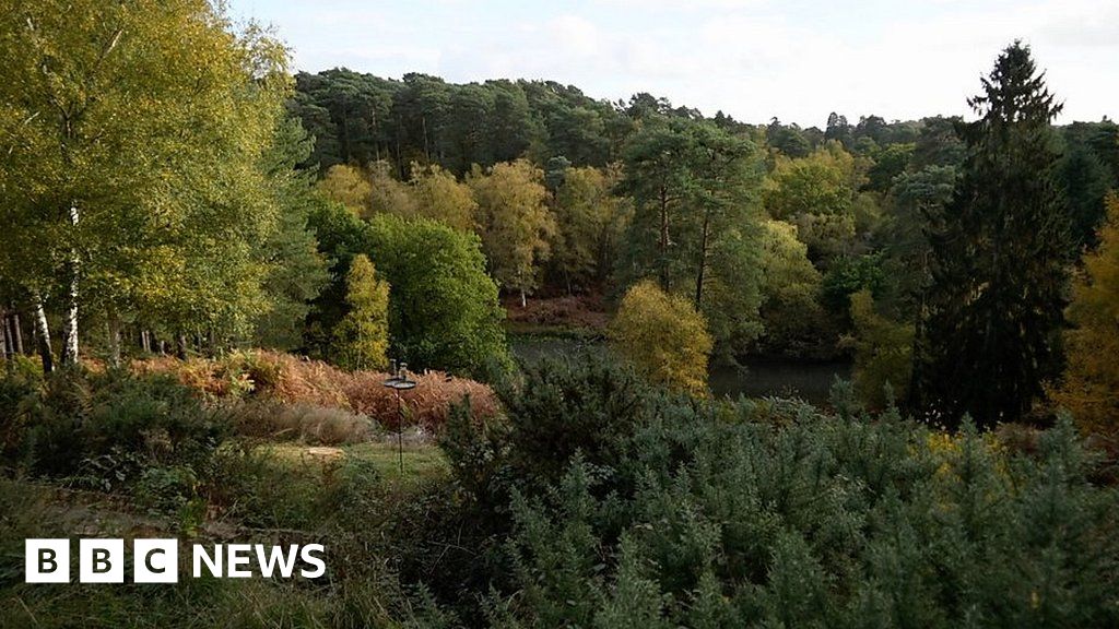 Greensand Country: Project helps to protect important landscape