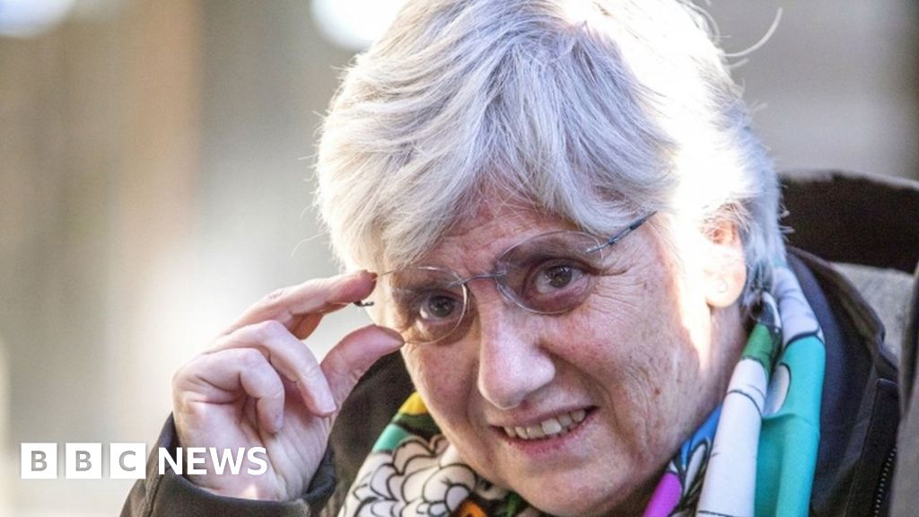 Academic's extradition to Spain suspended - BBC News