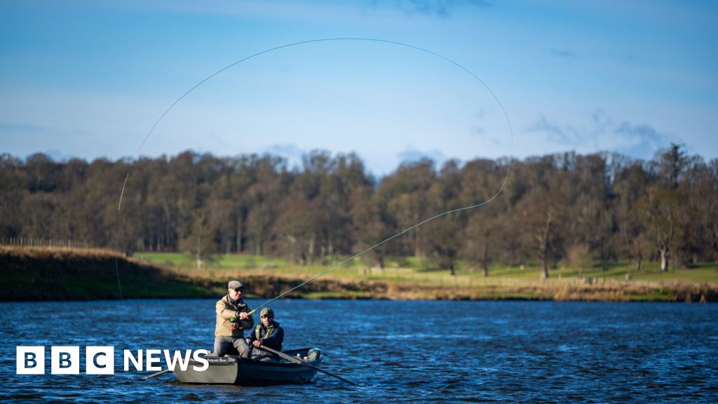 River Tweed salmon catch rises despite summer heatwaves - BBC News